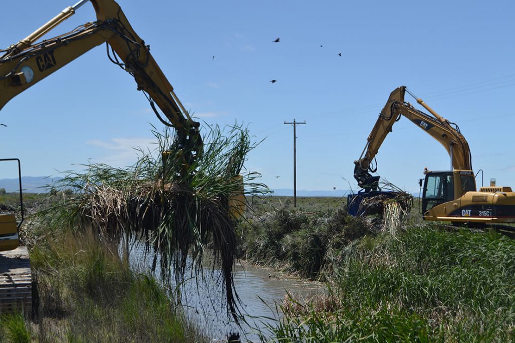 Wetland & Waterway Debris Removal